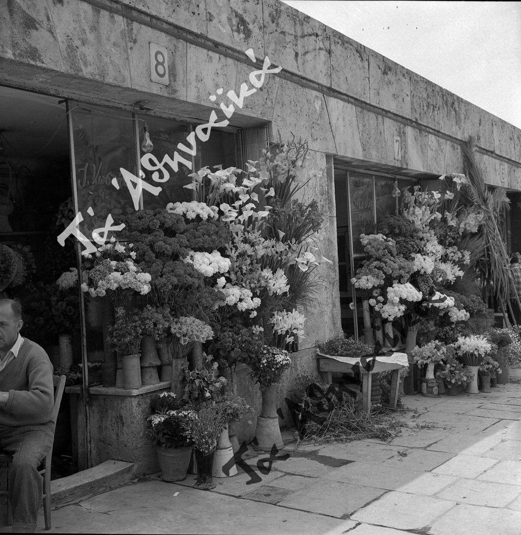 Τα παραδοσιακά ανθοπωλεία της λεωφόρου Βασιλίσσης Σοφίας - ΤΑ ΑΘΗΝΑΪΚΑ