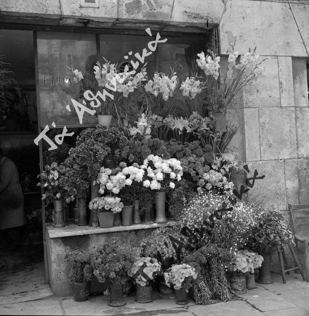 Τα παραδοσιακά ανθοπωλεία της λεωφόρου Βασιλίσσης Σοφίας - ΤΑ ΑΘΗΝΑΪΚΑ