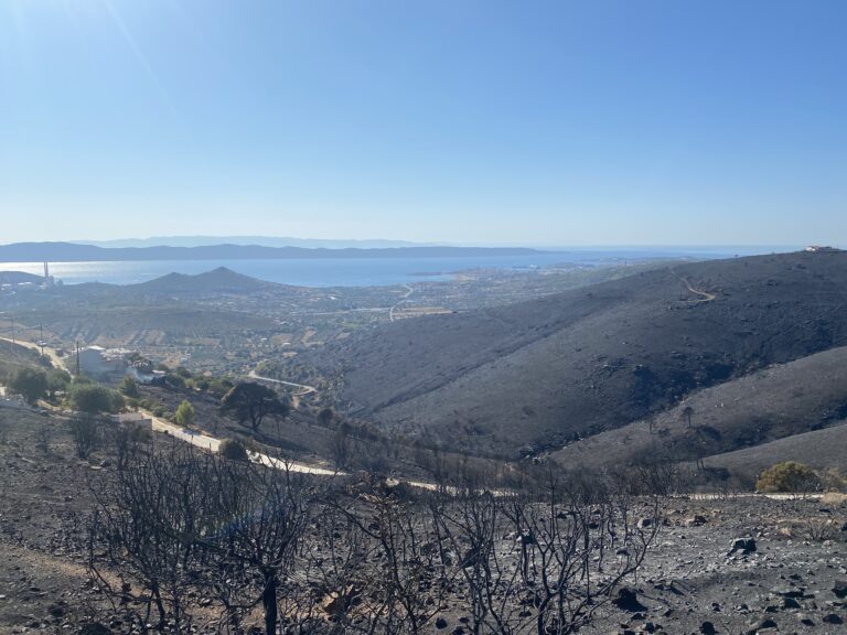 ΠΥΡΚΑΓΙΑ ΣΤΗΝ ΚΕΡΑΤΕΑ - ΤΑ ΑΘΗΝΑΪΚΑ
