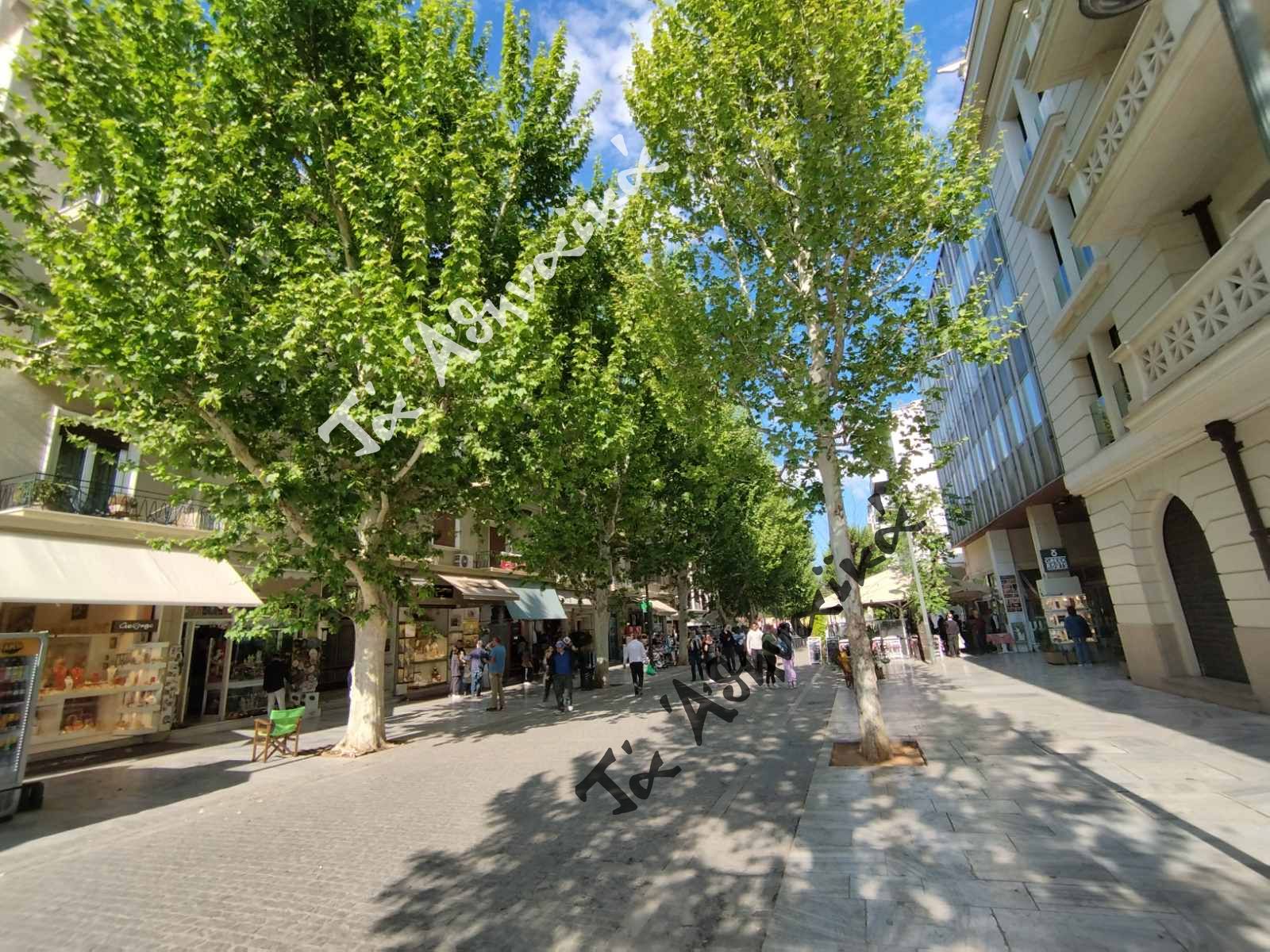 Κωστής Παλαμάς: ΤΟ ΠΡΑΣΙΝΟ - ΤΑ ΑΘΗΝΑΪΚΑ